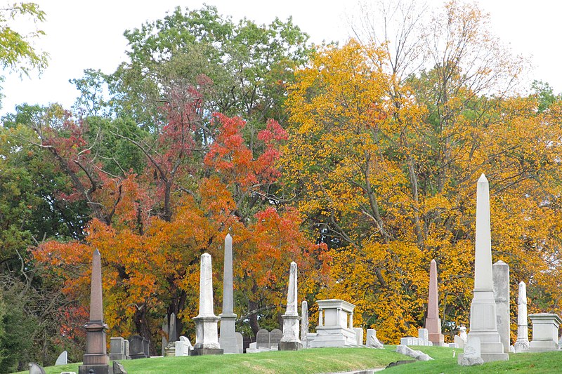 New Database: Pittsburgh, PA: Gaines Funeral Home Records, 1925-1934 ...